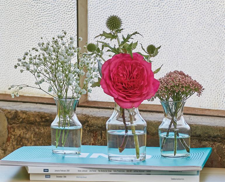 Hydrate – OASIS® Floral Products online shop