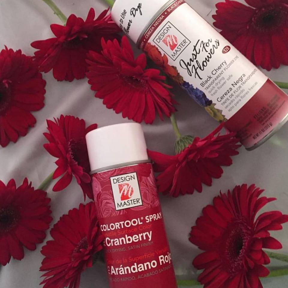 Design Master colortool sprays provide solid colour effect. – OASIS ...