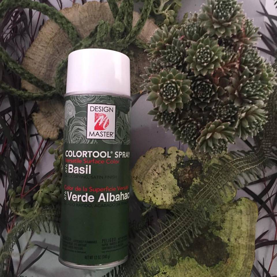 Design Master colortool sprays provide solid colour effect. – OASIS ...